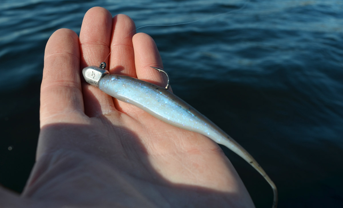 TRUITE GRISE : Top 5 des meilleures tactiques - Magazine 100% CHASSE PÊCHE